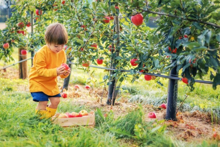 Fall Family Activities | Waterford | Breakie Bunch Daycare